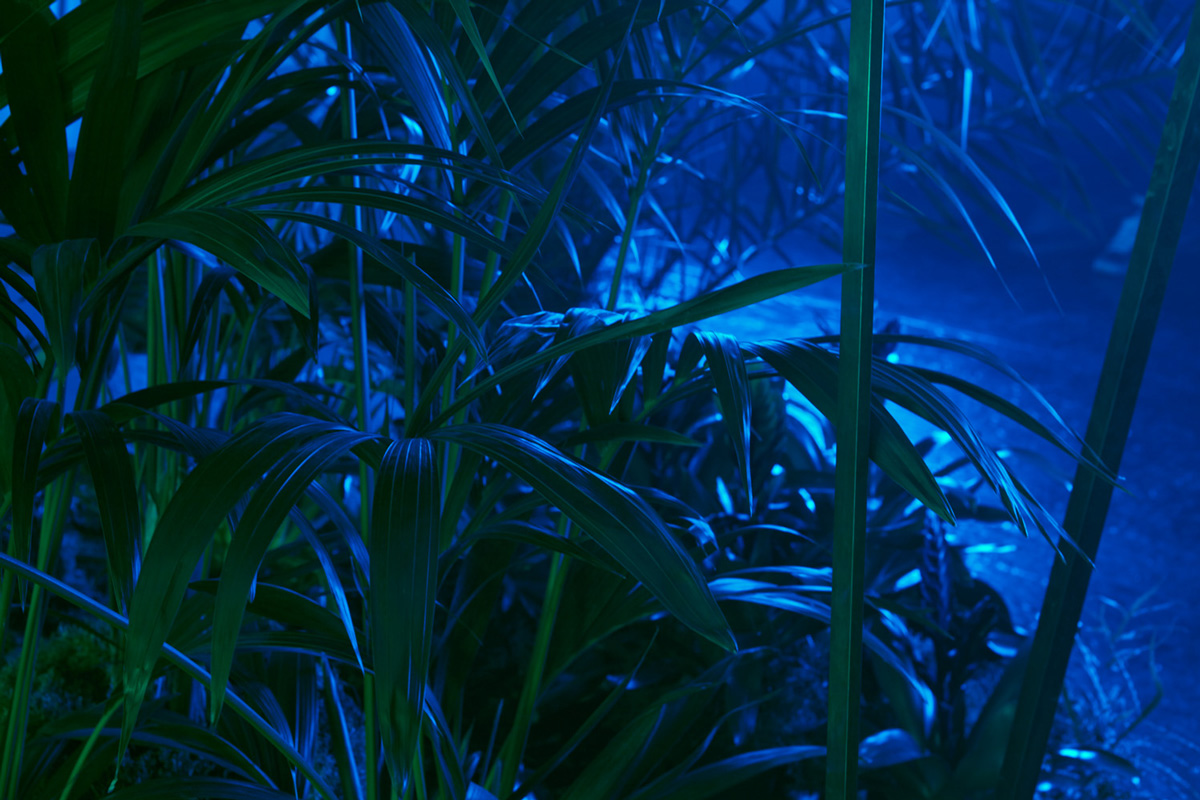 Design Hotels – FARO