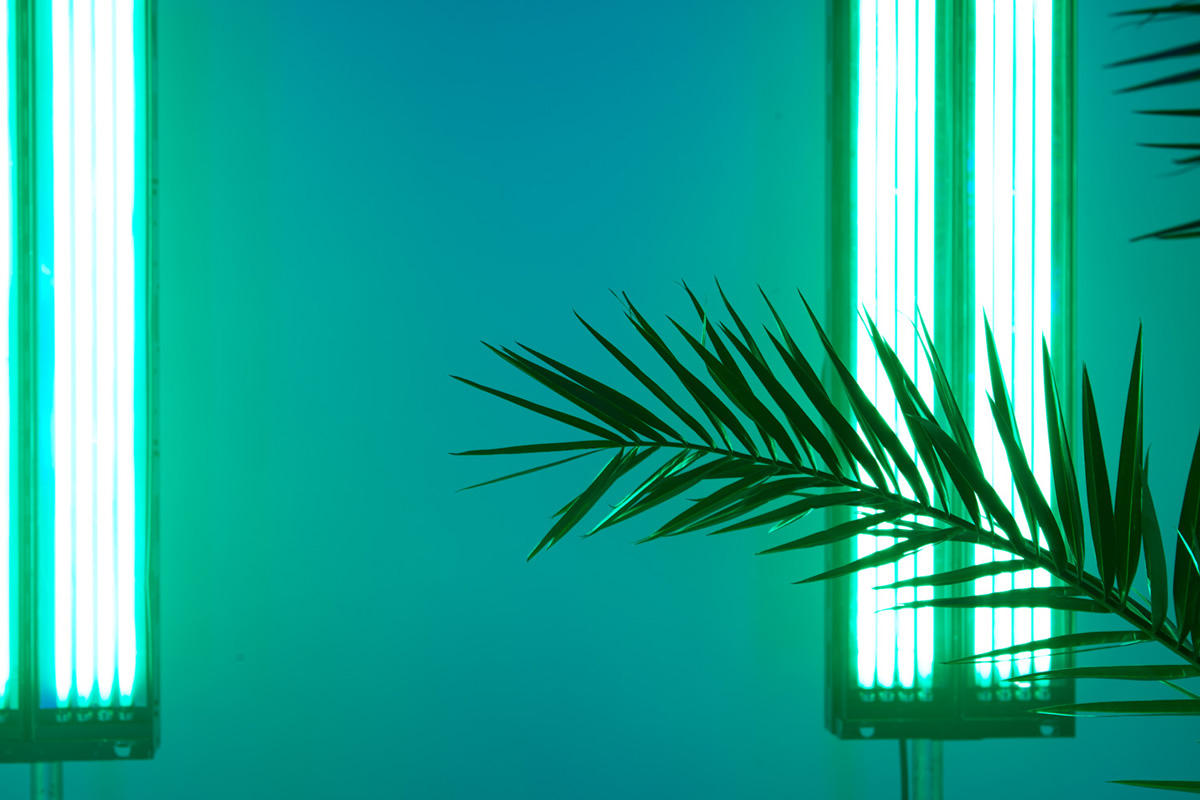 Design Hotels – FARO